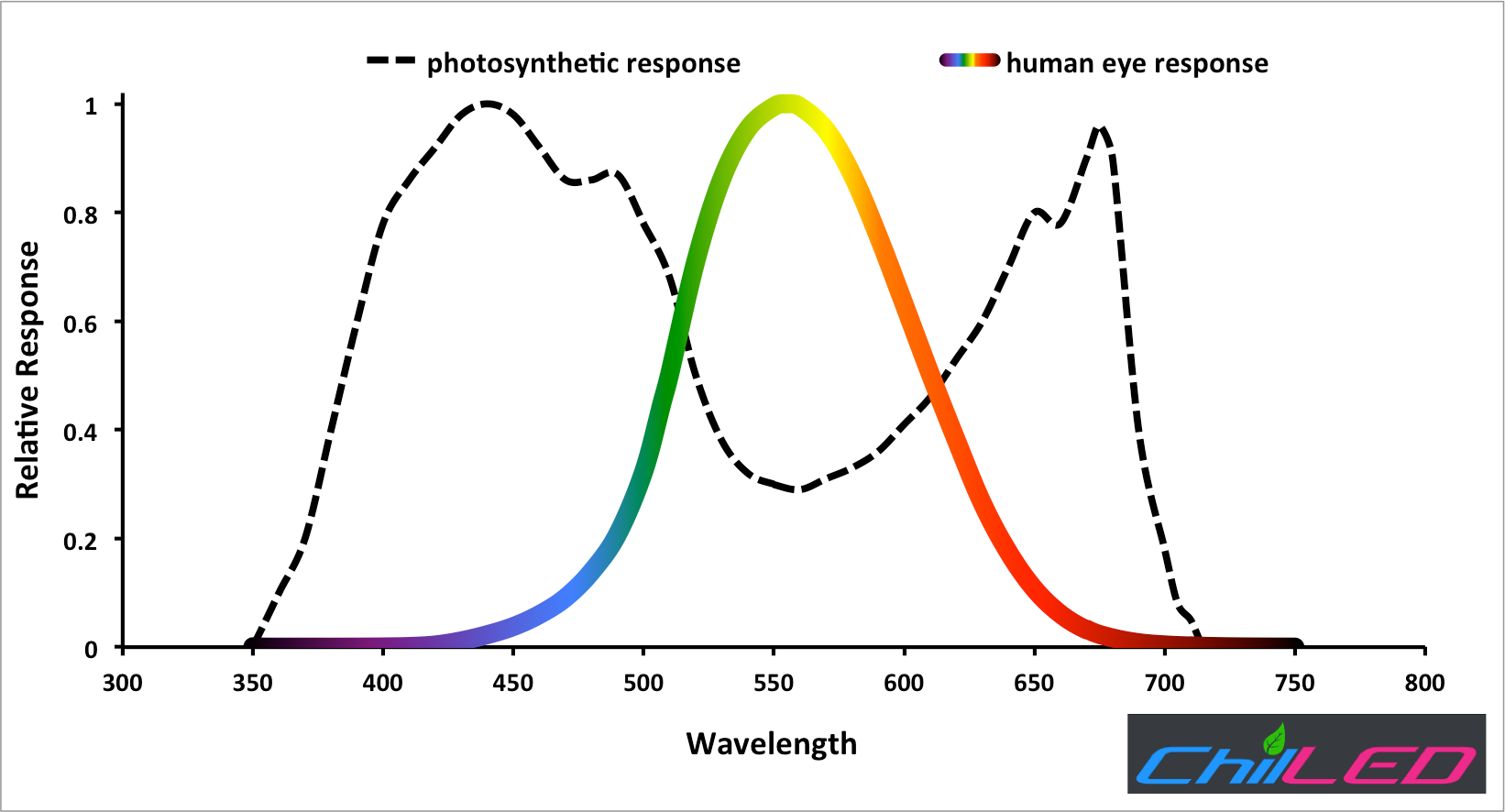 A (Quantum) PAR Meter Explained | Photone