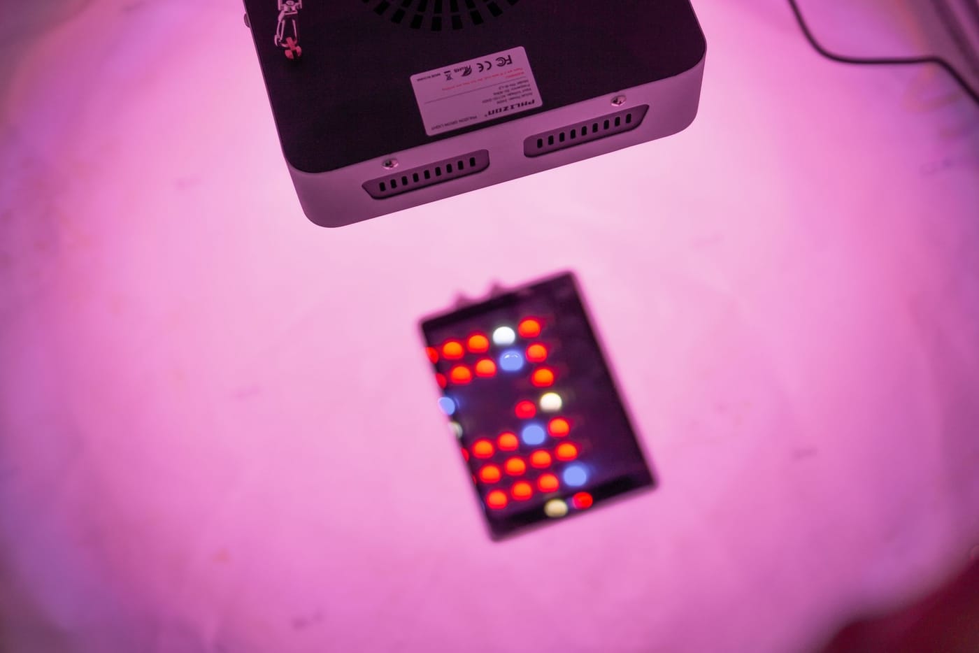The Best Light Meter App For Plants in 2026 | Photone