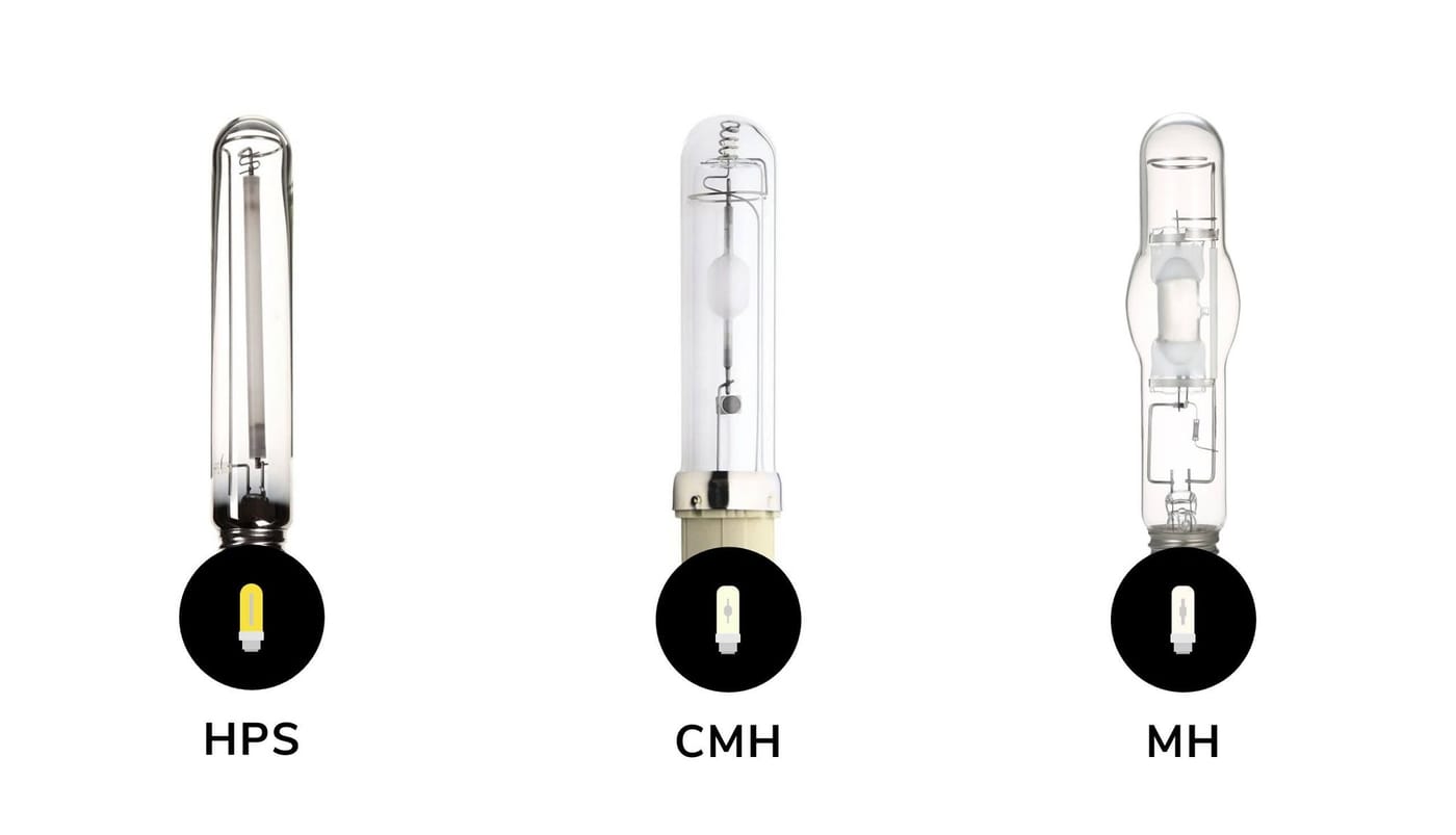 Choosing The Correct Light Source Setting | Photone