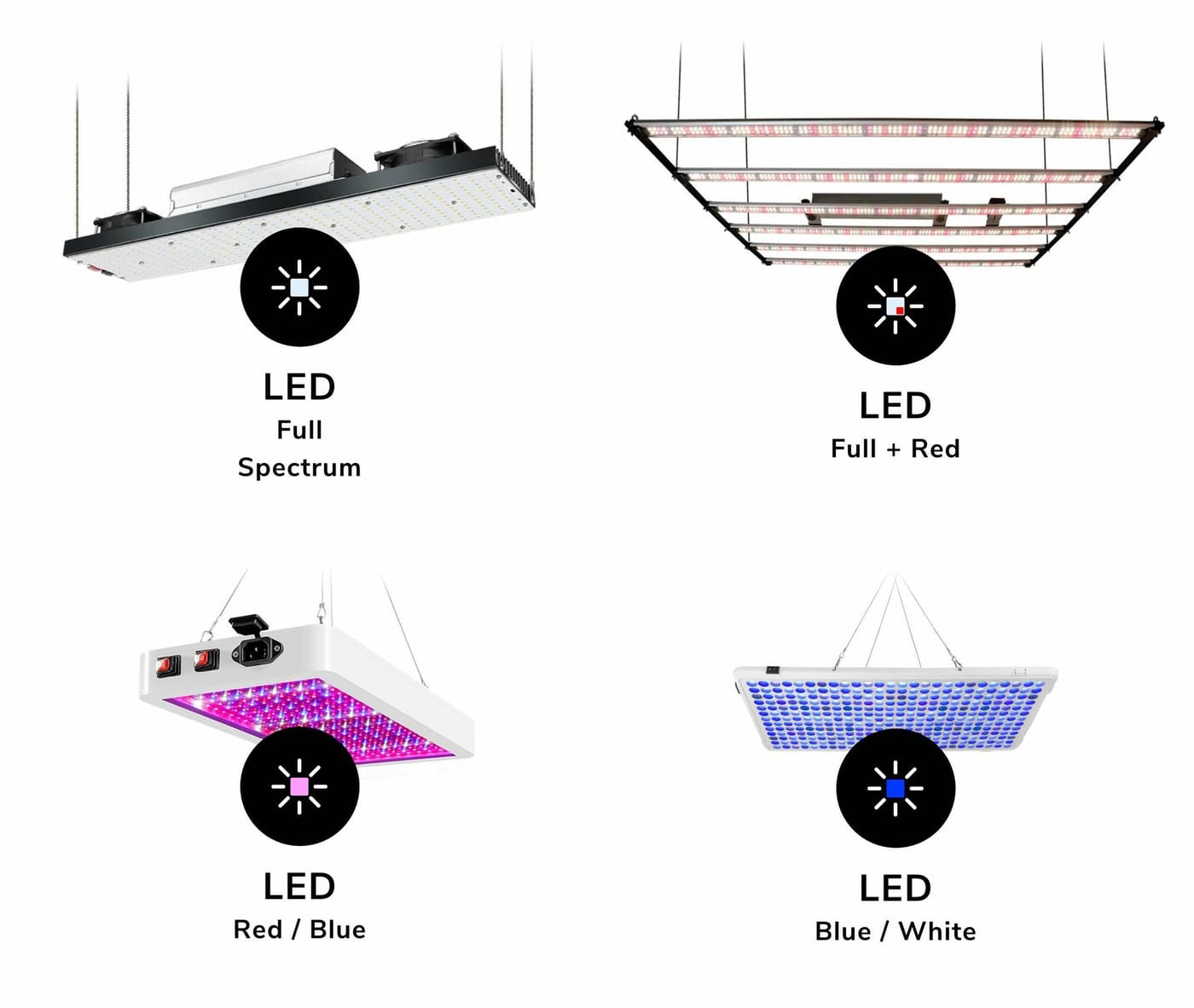 Choosing The Correct Light Source Setting | Photone