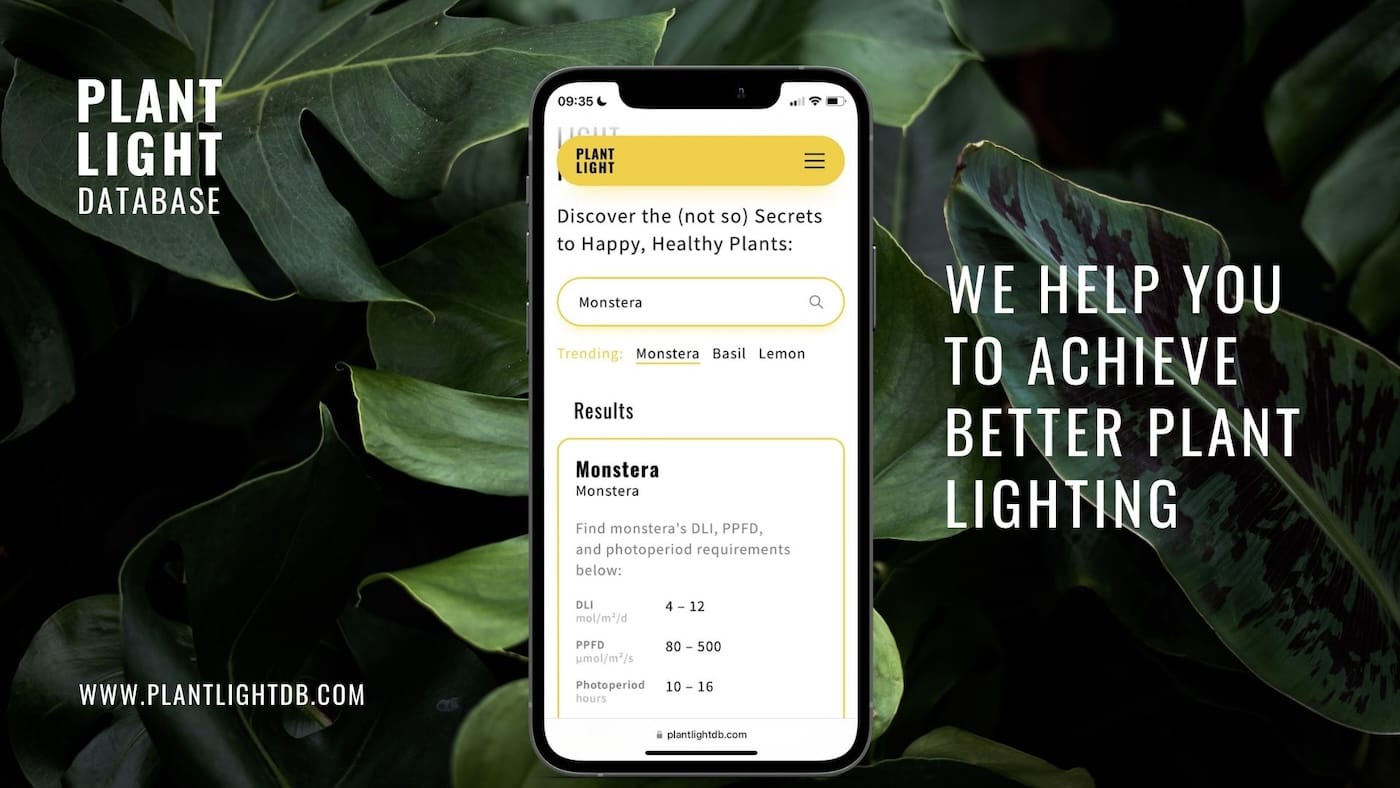 Understanding Plant Light Needs: A Beginners Guide