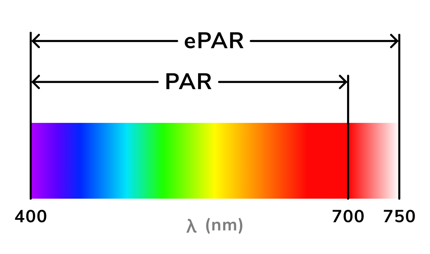 Grow Light Metrics Explained | Photone