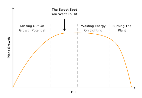Cannabis DLI for Your Full Grow Cycle Cannabis DLI for Your Full Grow Cycle