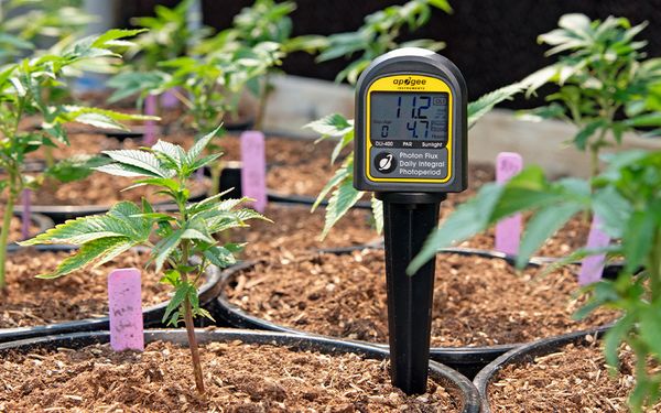 The Best Light Meter App For Plants in 2025 | Photone